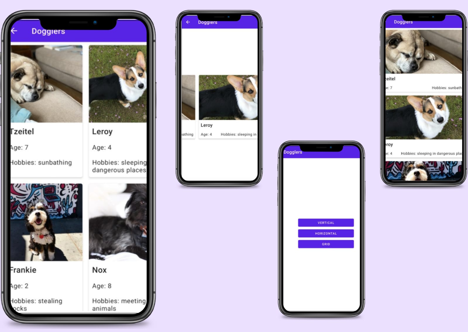 Anchal Pandey | Portfolio